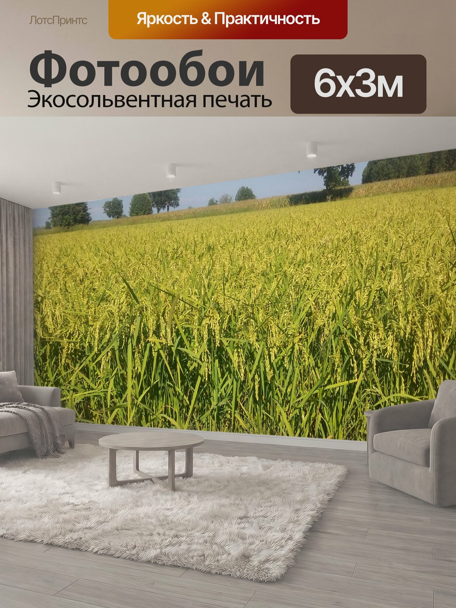 Фотообои "Летом, рисовое поле, уши" 600x300 см. экосольвентная печать