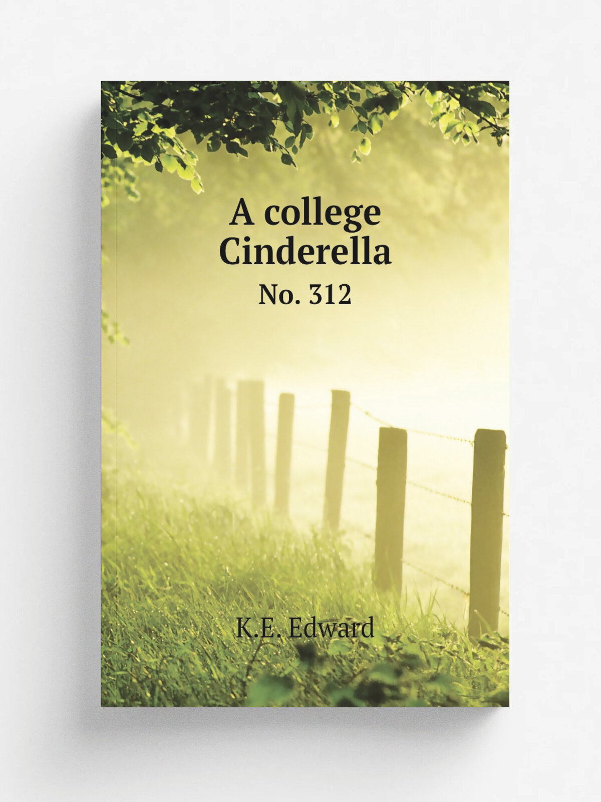 A college Cinderella. No. 312