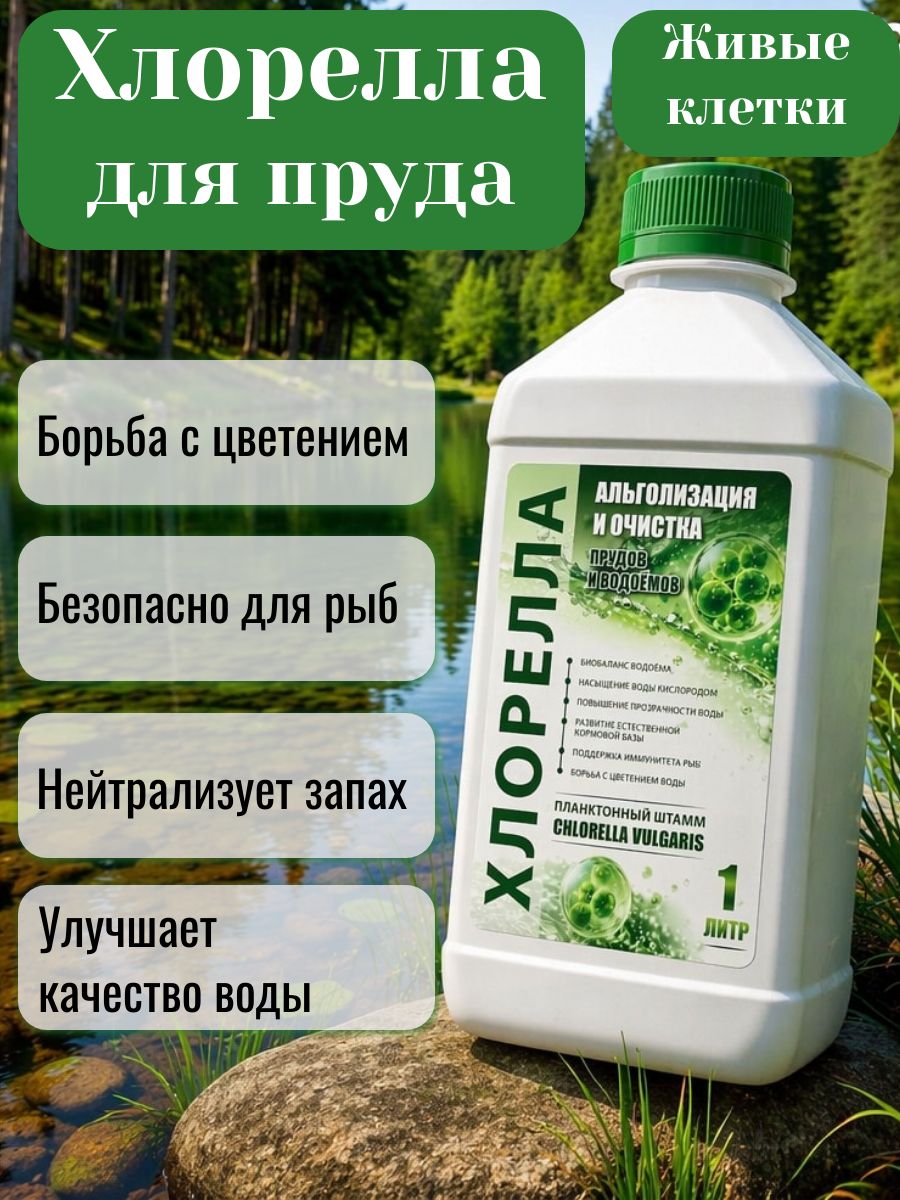 Хлорелла для пруда, для очистки и альголизации водоёмов, борьбы с водорослями, насыщение кислородом. Живые клетки без химии.