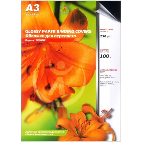 Обложки для переплета Реалист картон глянец А3, 250 г/м2, черные, 100 шт/уп