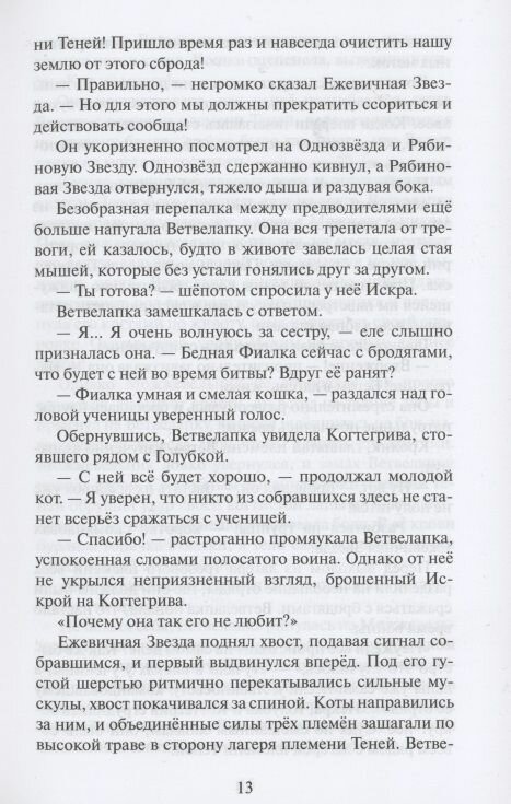 Расколотое небо — фото 1