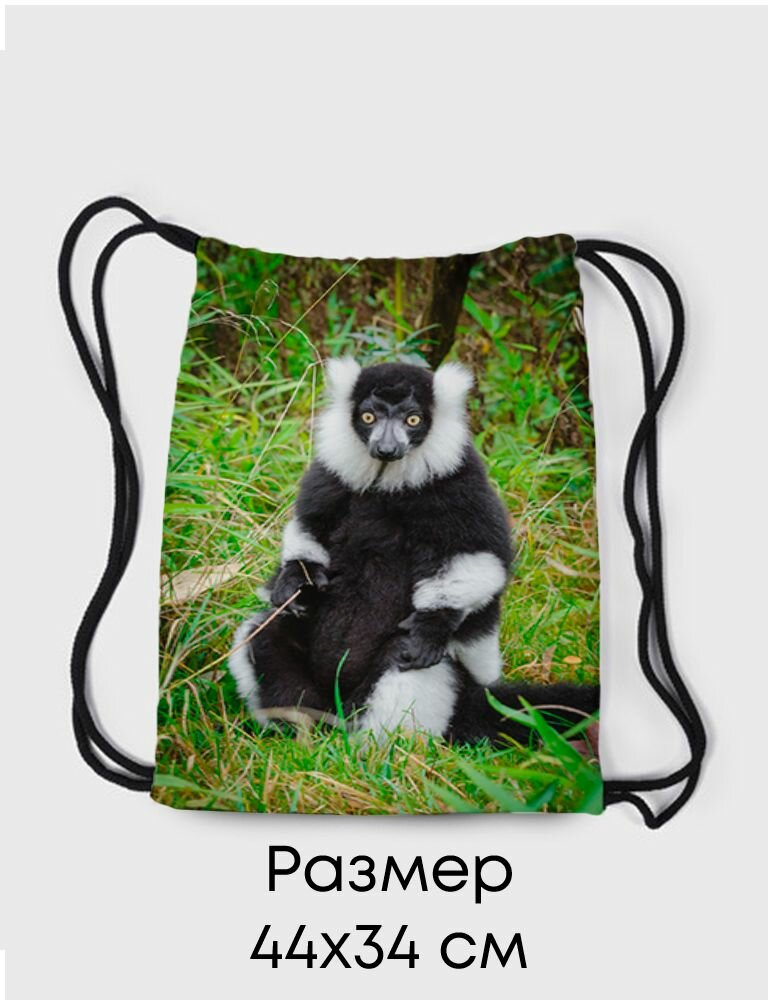 Мешок - сумка для обуви Лемур — фото 1