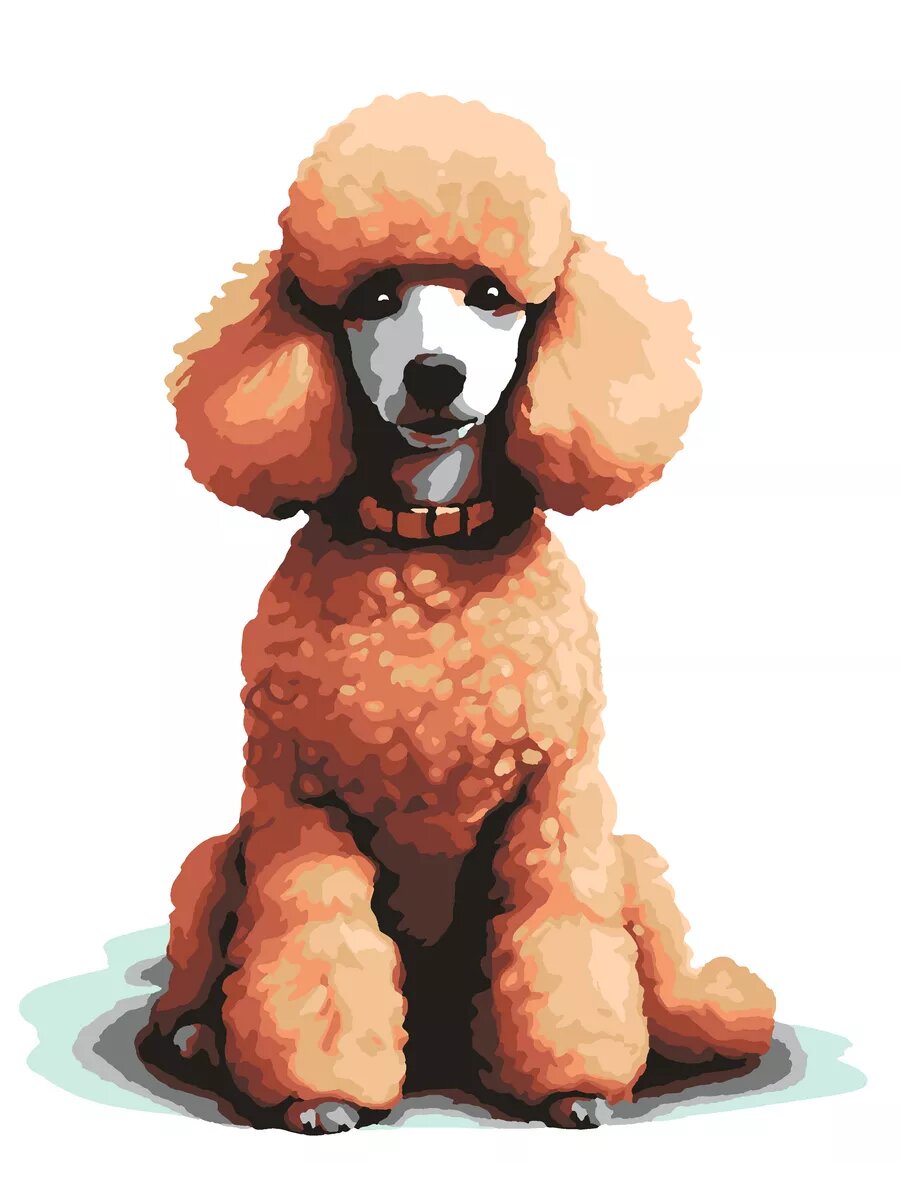 Картина по номерам Пудель 40х50 см