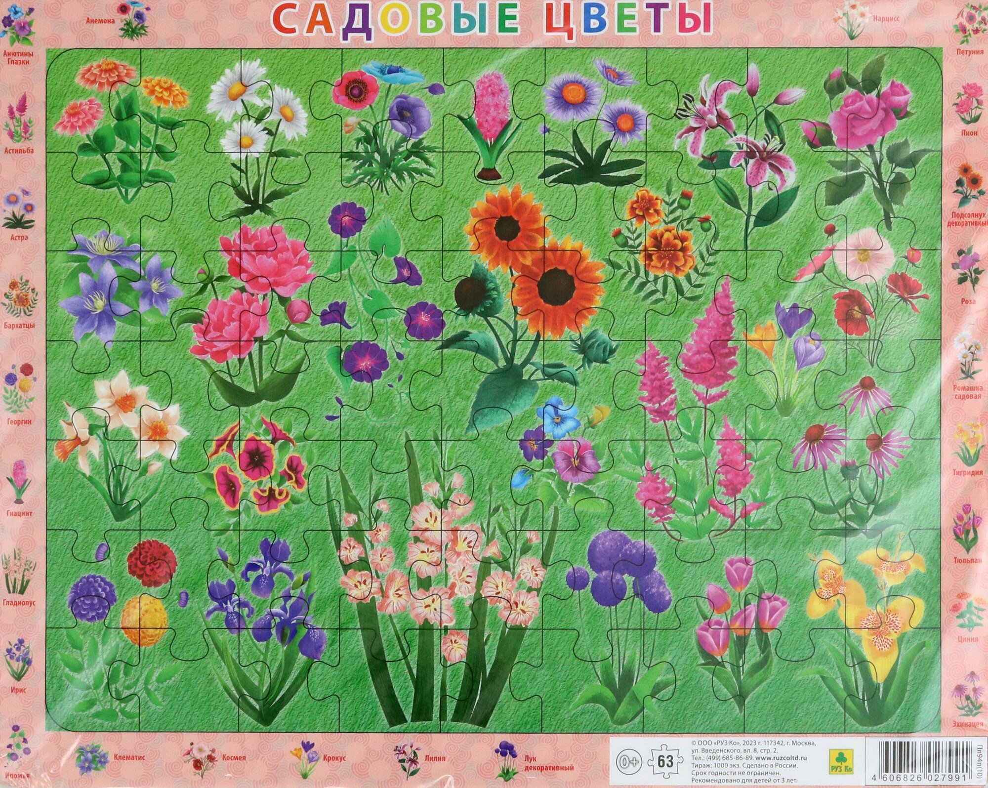 Пазл Цветы садовые