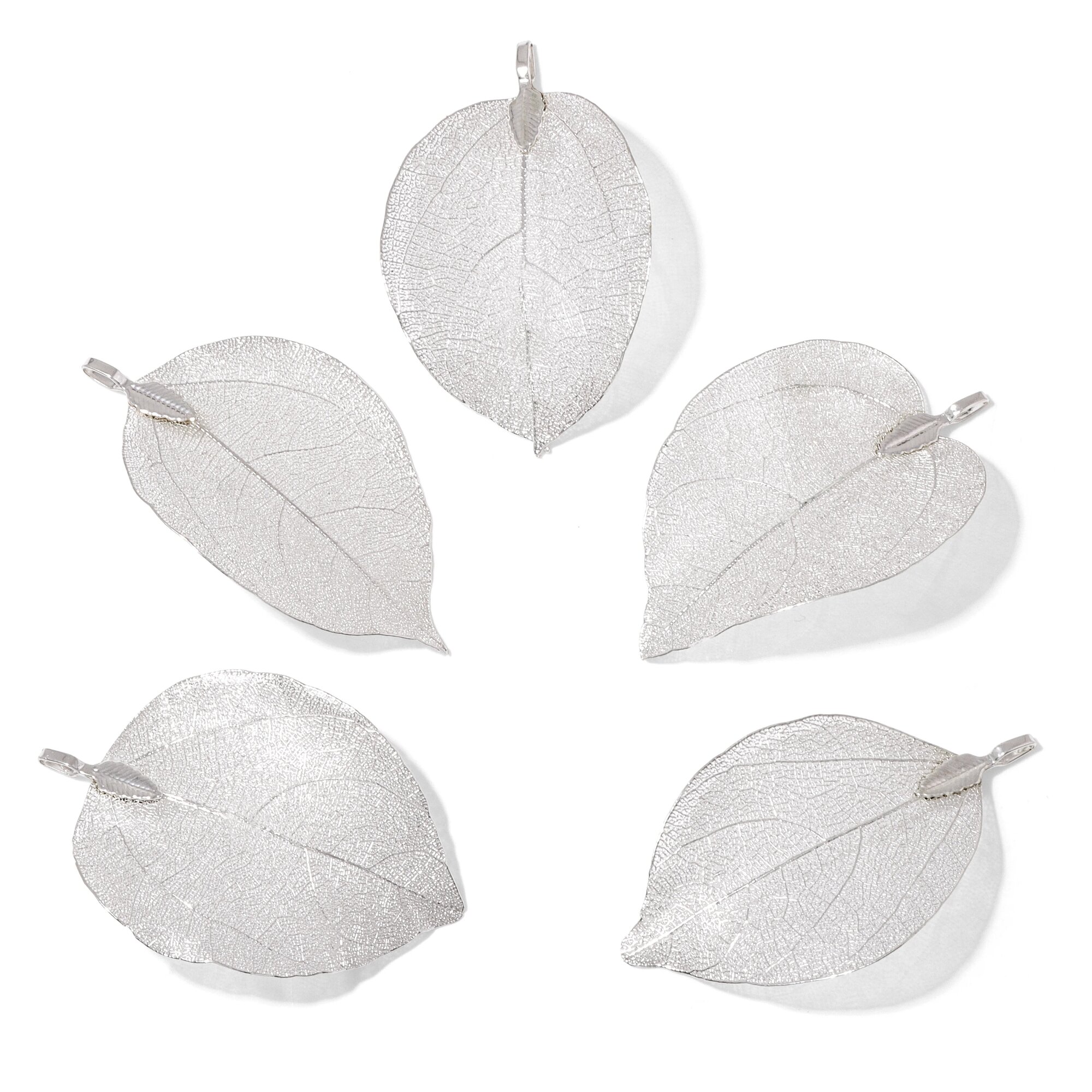 5 шт, подвески из глины, листья розы, vinswet Белый, 2