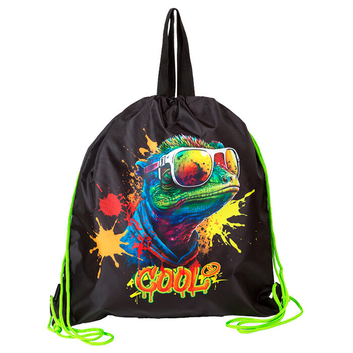 Мешок для обуви deVENTE "Cool Lizard", 38*43см, 1 отделение, водоотталкивающая ткань, на веревочной завязке