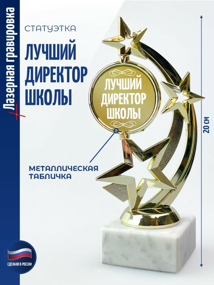 Статуэтка Звезда "Лучший директор школы" (19,5 см)