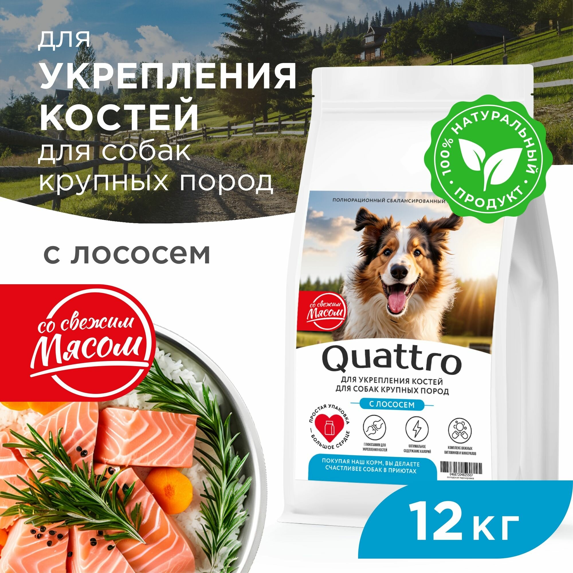 Корм сухой для взрослых собак крупных пород, премиум полнорационный комплекс, для укрепления костей у собак, с лососем, 12 кг, QUATTRO