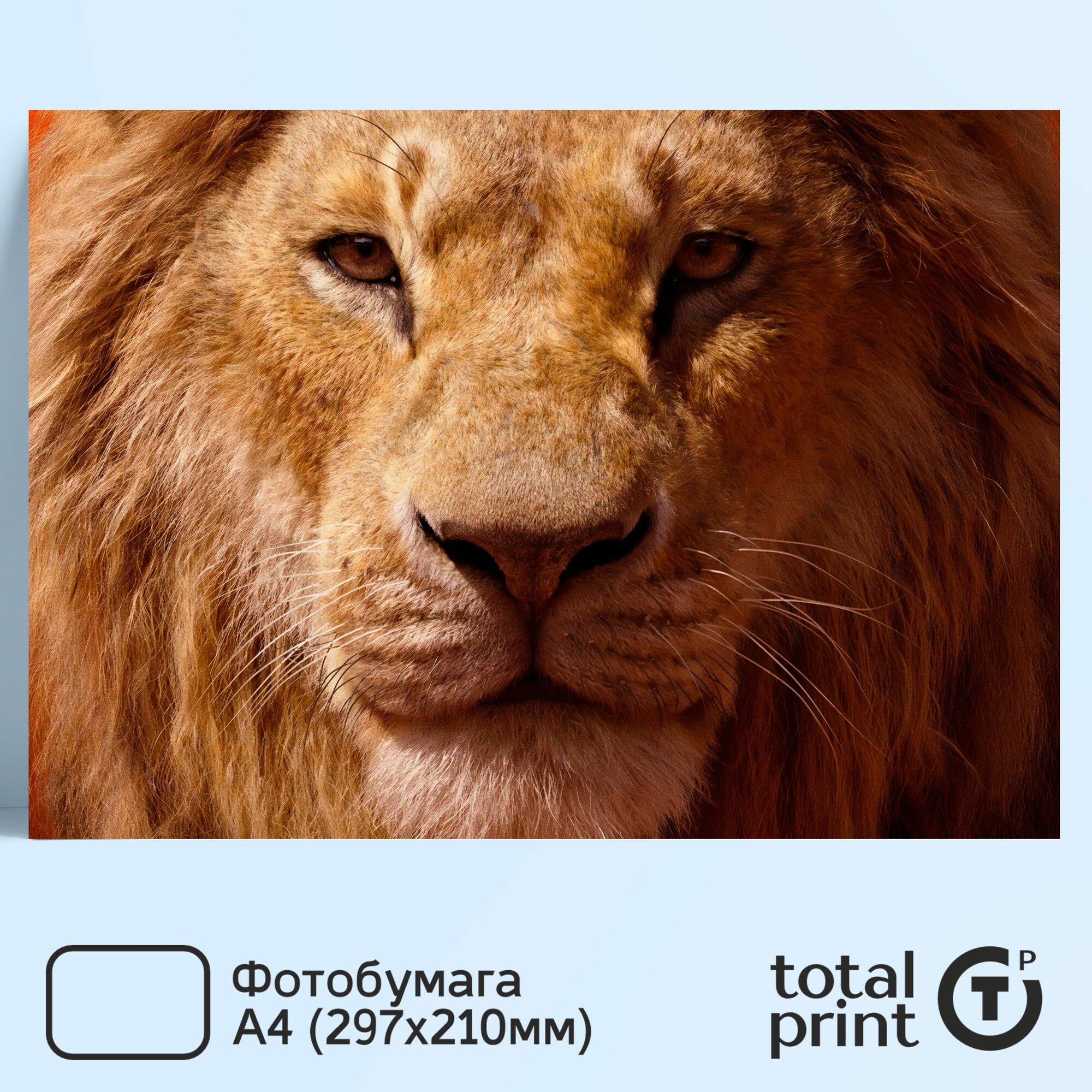 TotalPrint Постер для интерьера, Король Лев, А4(21х29.7см)