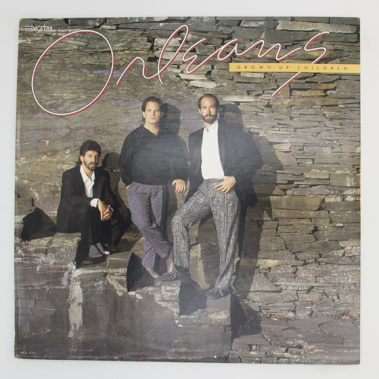 Виниловая пластинка Orleans - Grown Up Children, 1xLP, NM