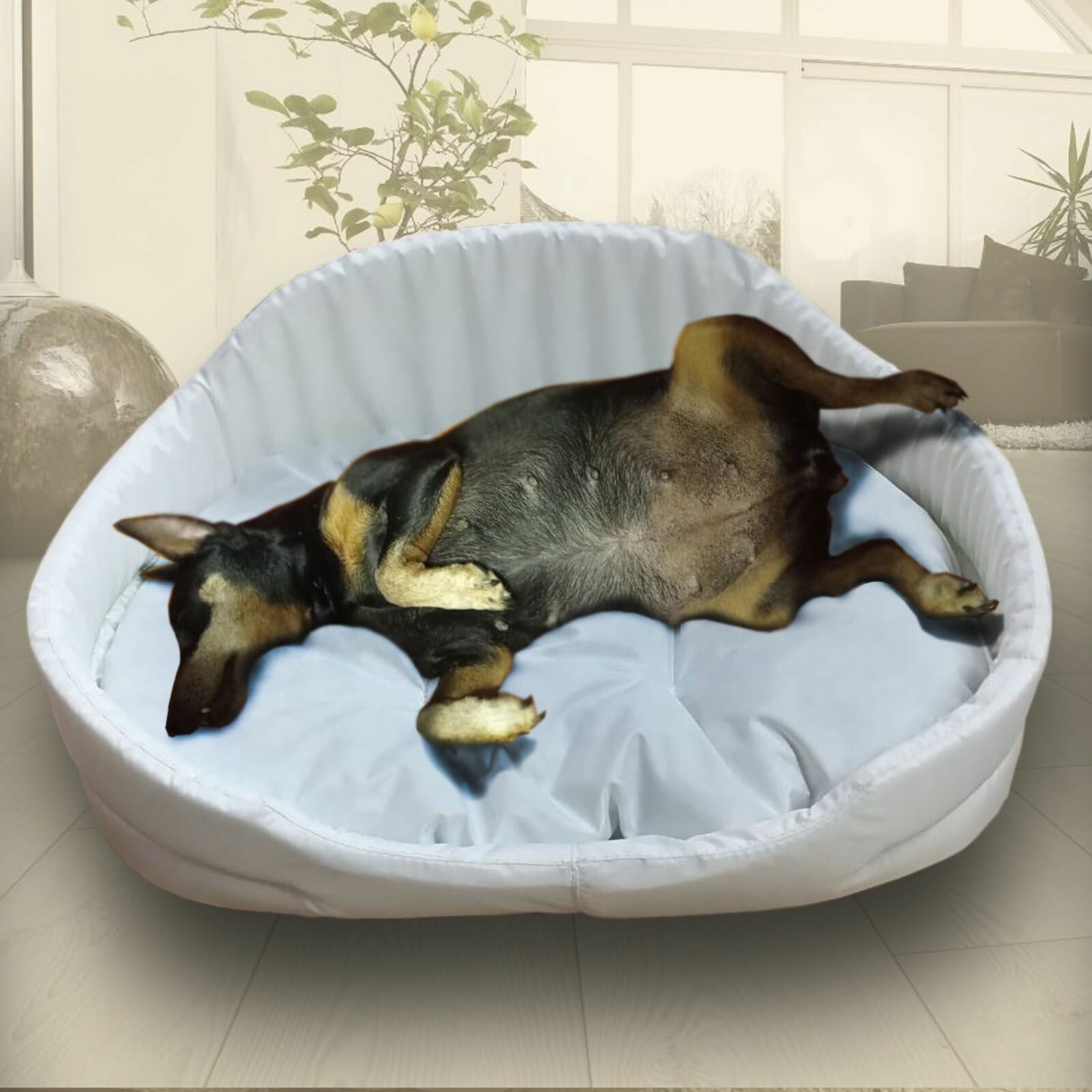 Лежанка Гера для кошек и собак, овальная, с бортиком и съемной подушкой, 60x45 см