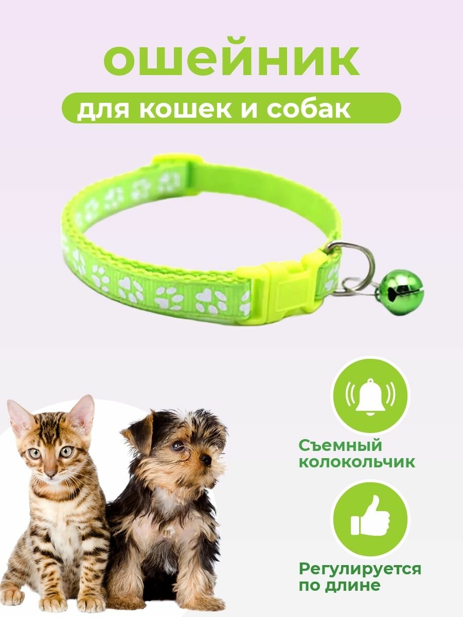 Ошейник для кошек и мелких пород собак , универсальный , салатовый