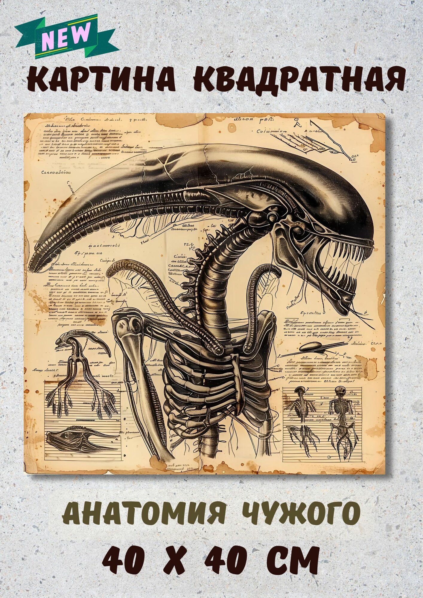 Картина 40х40 анатомия фантастического существа "Чужой"
