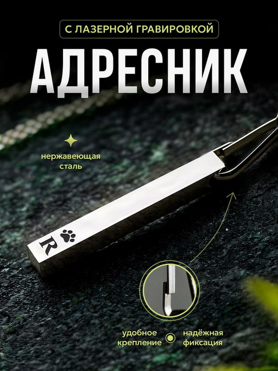 Адресник для собаки с гравировкой, серебристый, английская буква R