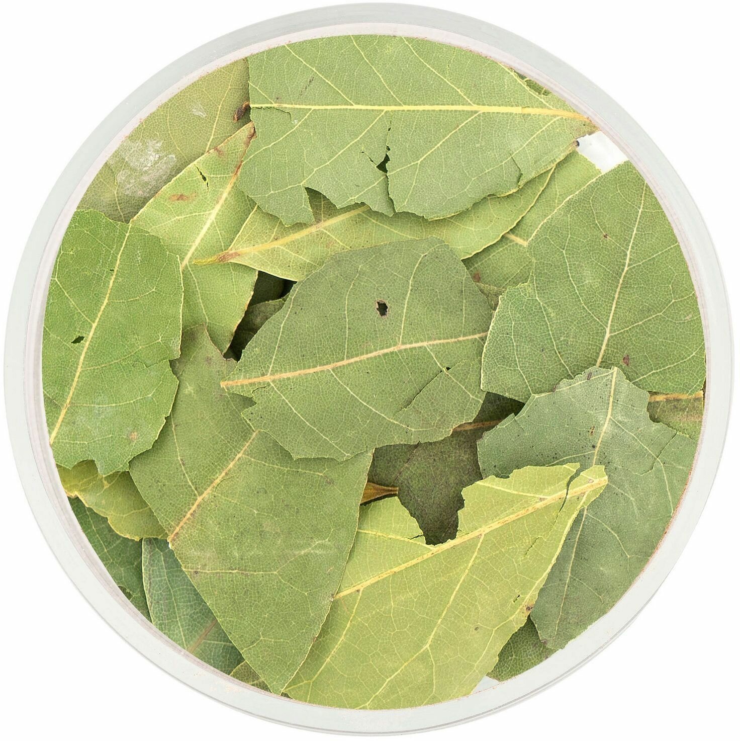 Лавровый лист 200 гр.