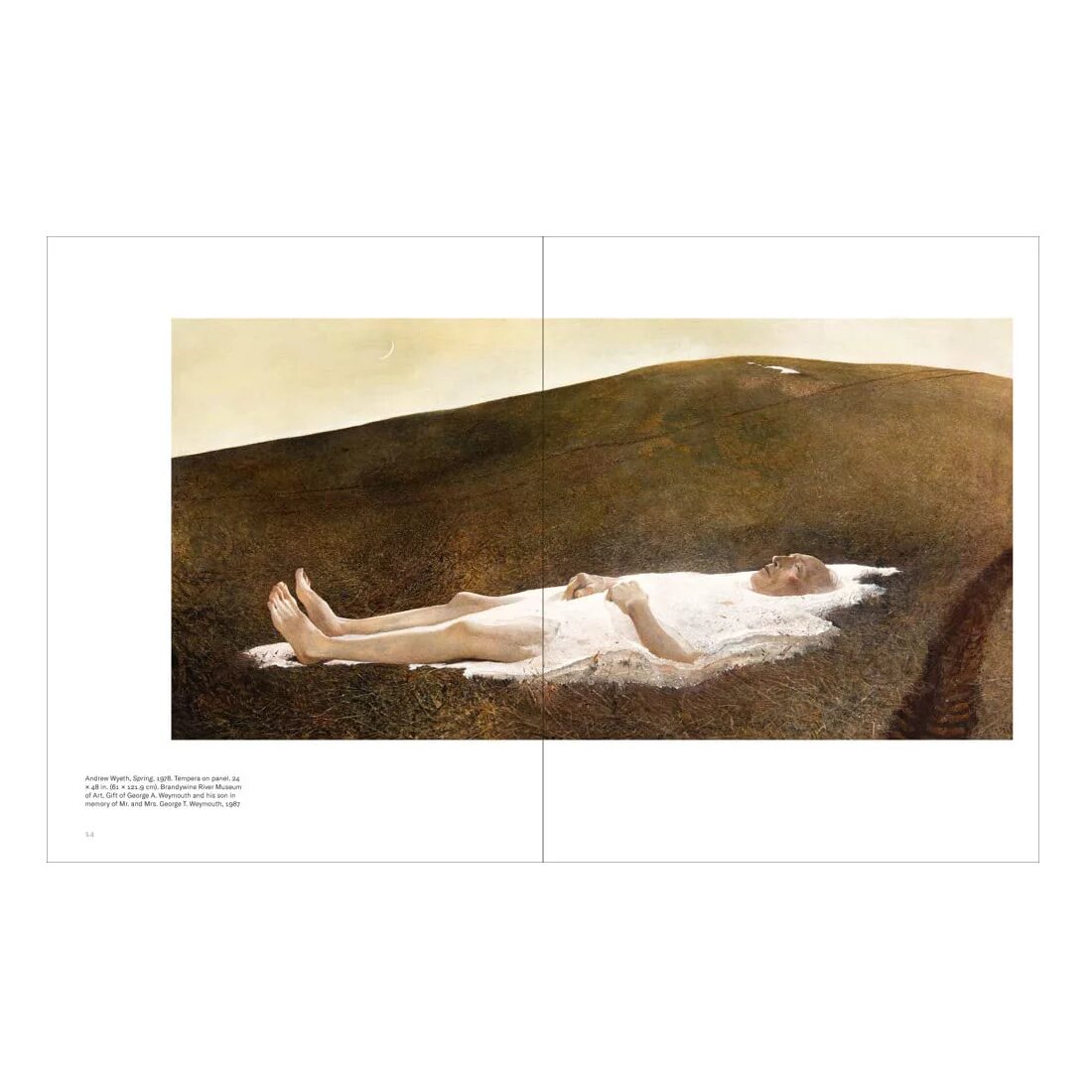 Andrew Wyeth: Life and Death
