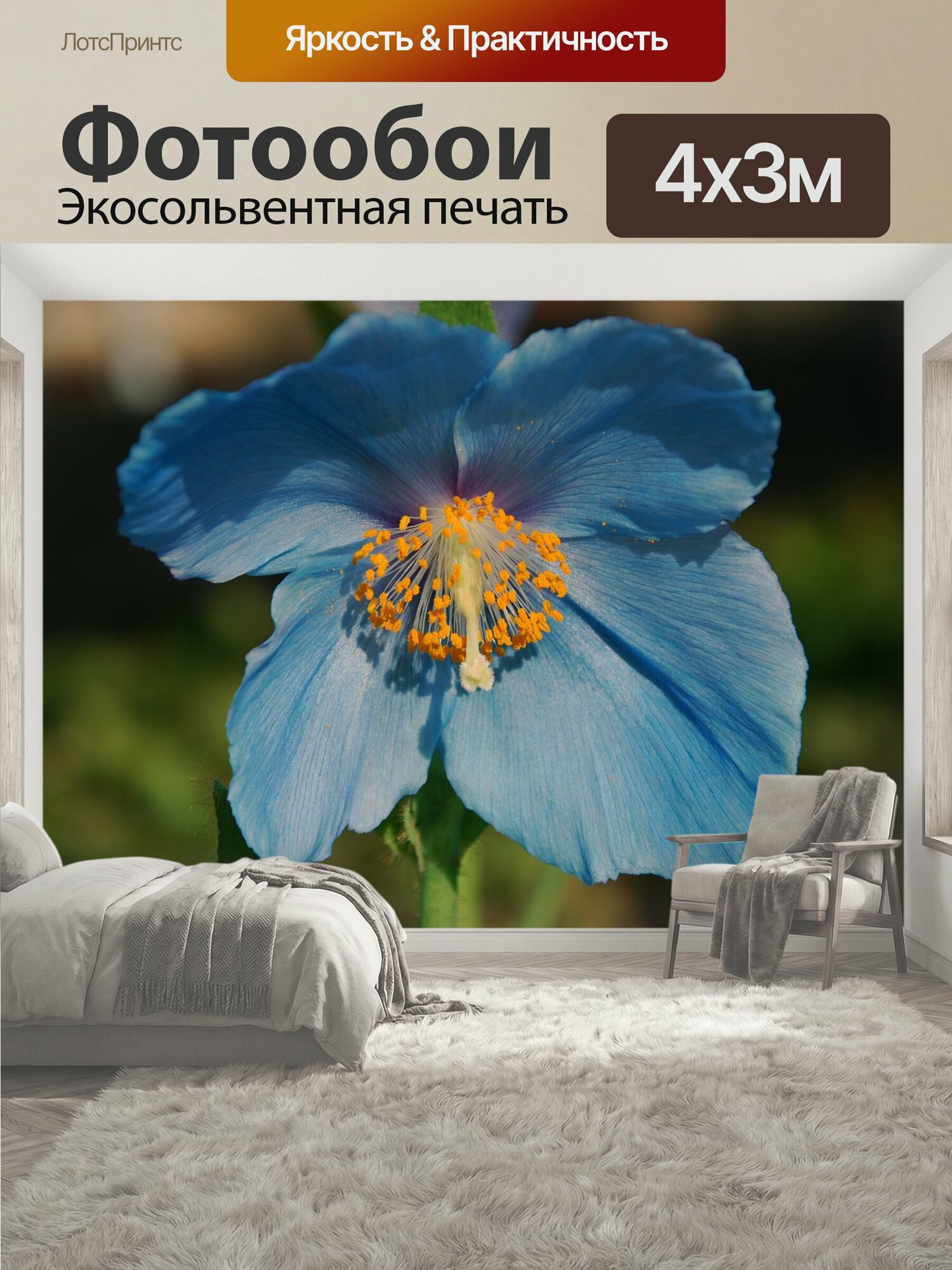 Фотообои "Синий мак, цветок, цвести" 400x300 см. экосольвентная печать