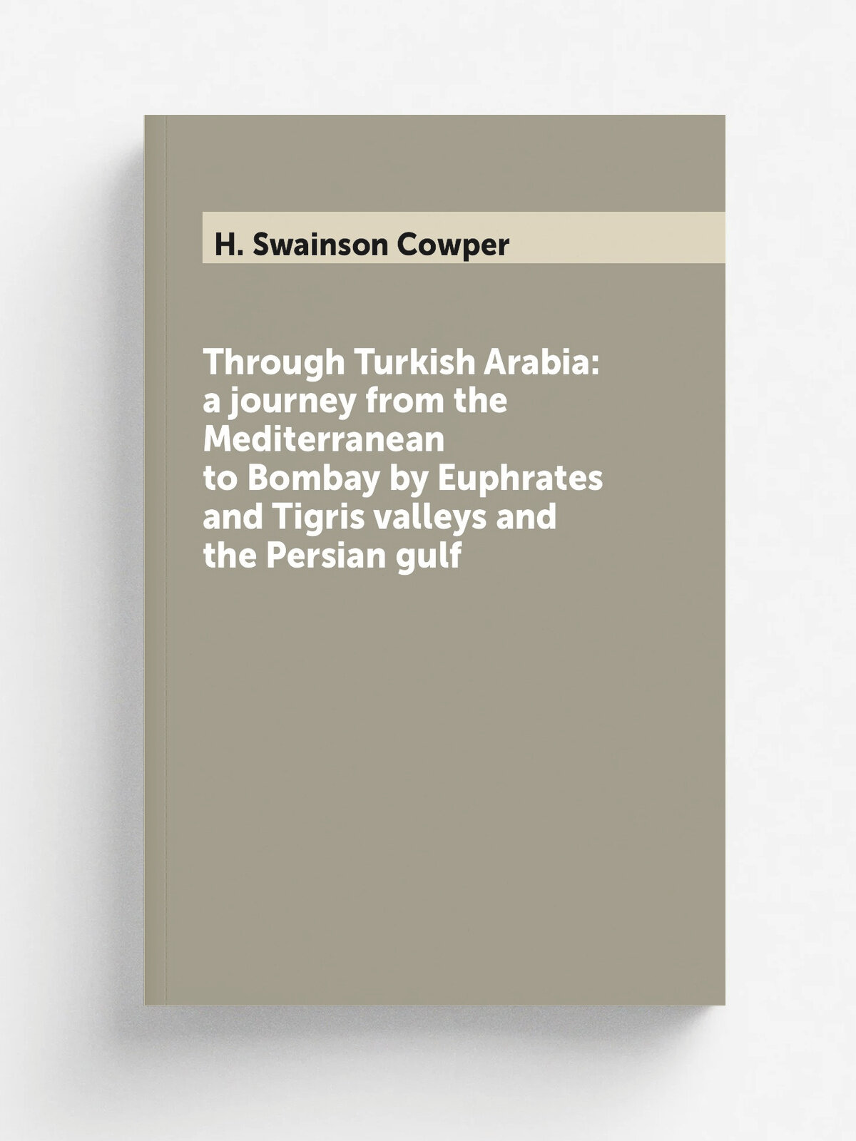 Through Turkish Arabia: a journey from the Mediterranean to Bombay by Euphrates and Tigris valleys and the Persian gulf