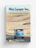 Blue Camper Van