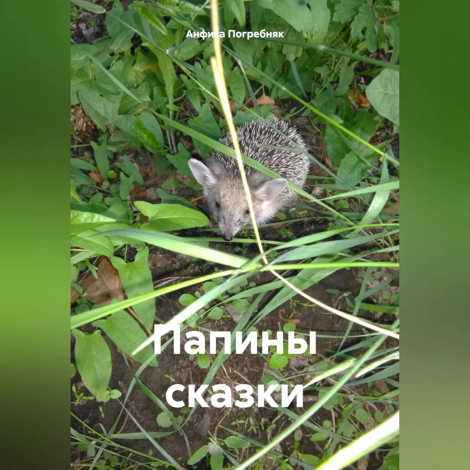 Папины сказки [Аудиокнига]