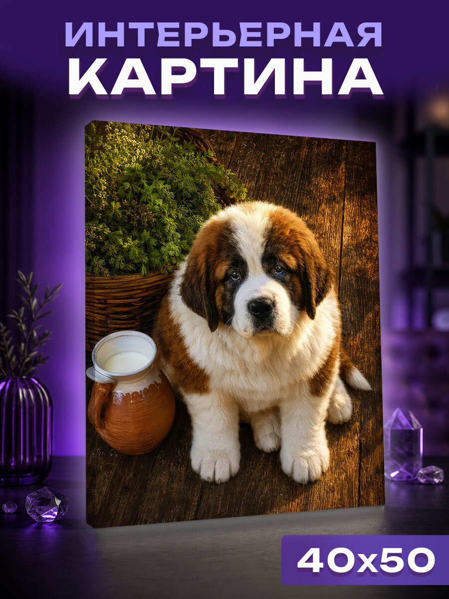 Интерьерная картина Щенок сенбернара на полу у крынки