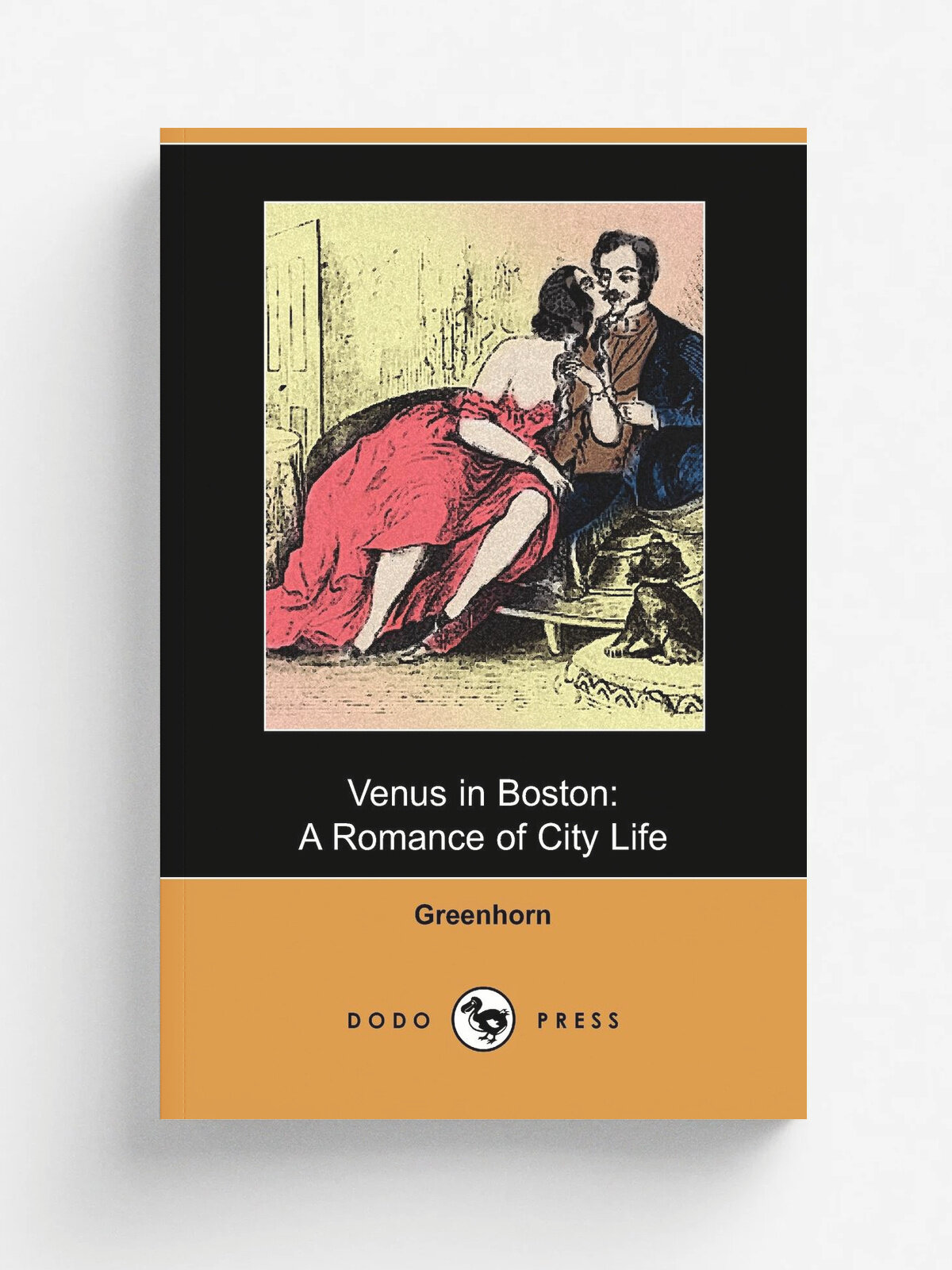 Venus in Boston. A Romance of City Life (Dodo Press)