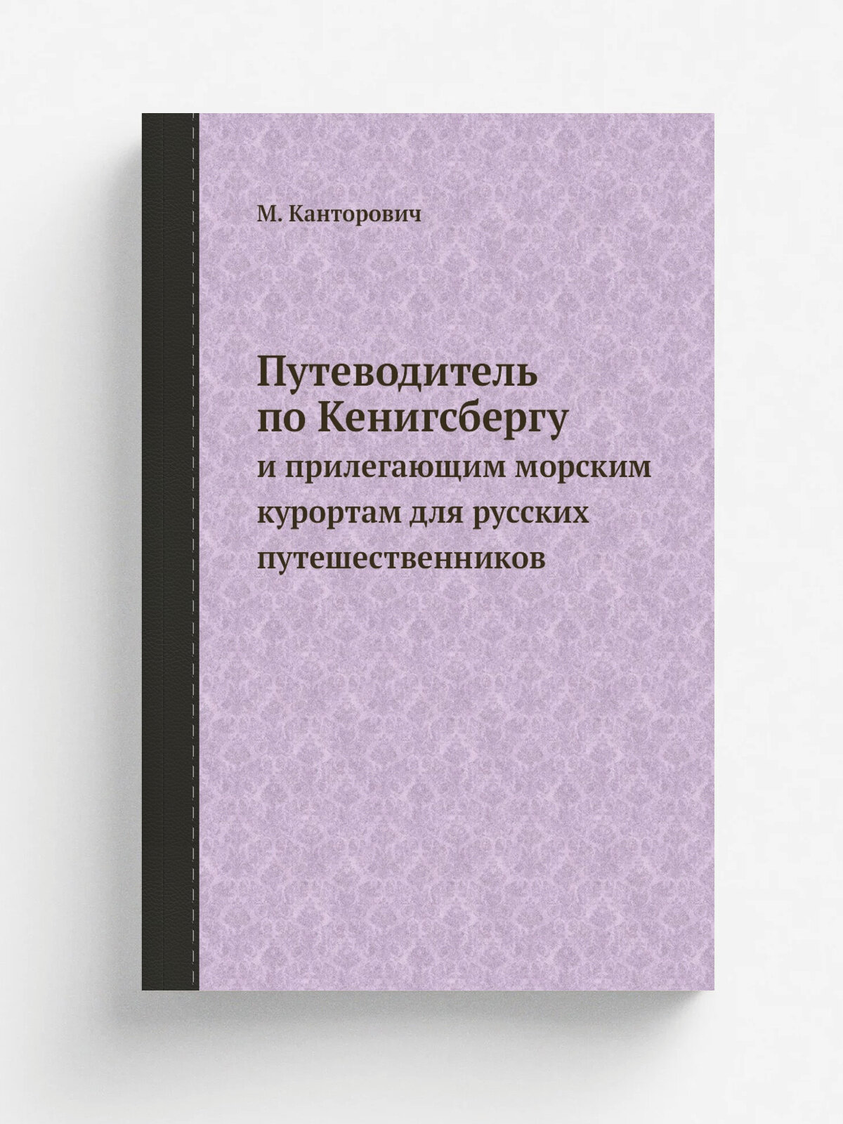 Путеводитель по Кенигсбергу. и прилегающим морским курортам для русских путешественников