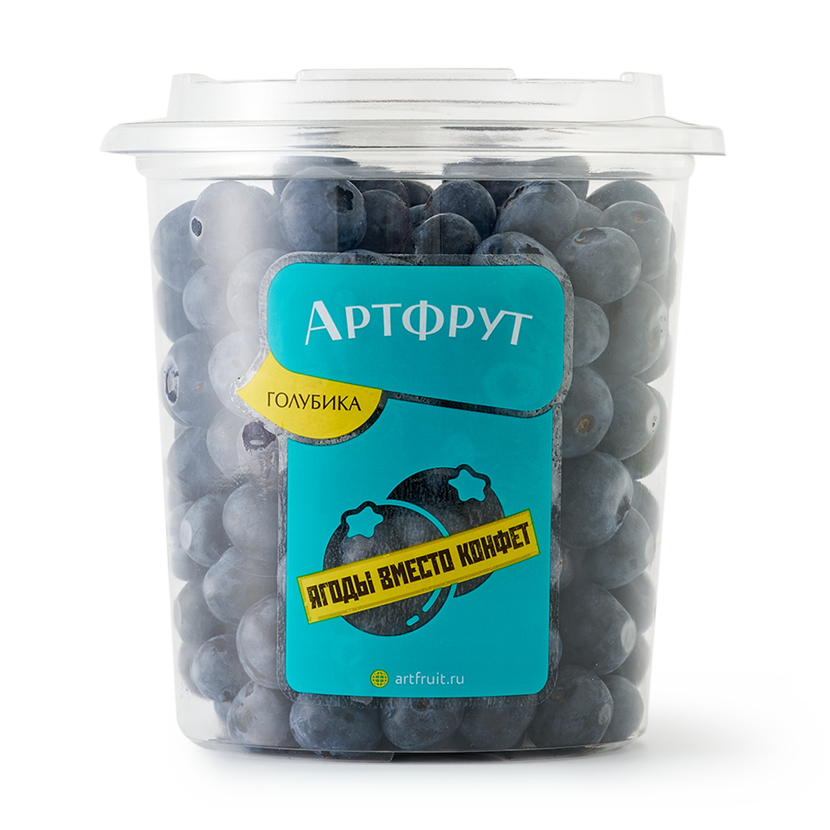 Голубика «Артфрут»