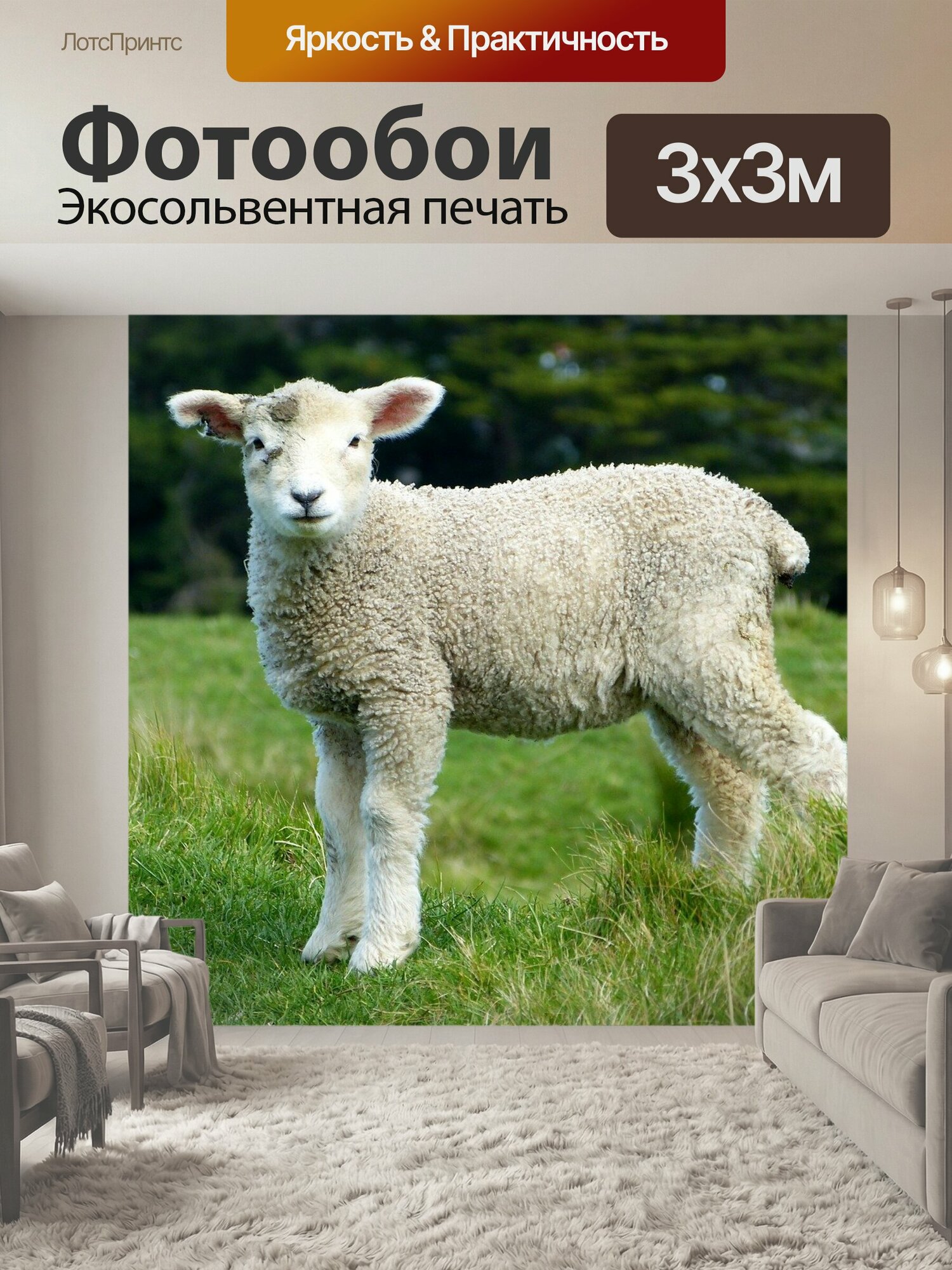 Фотообои "Овец, белый, ягнята" 300x300 см. экосольвентная печать