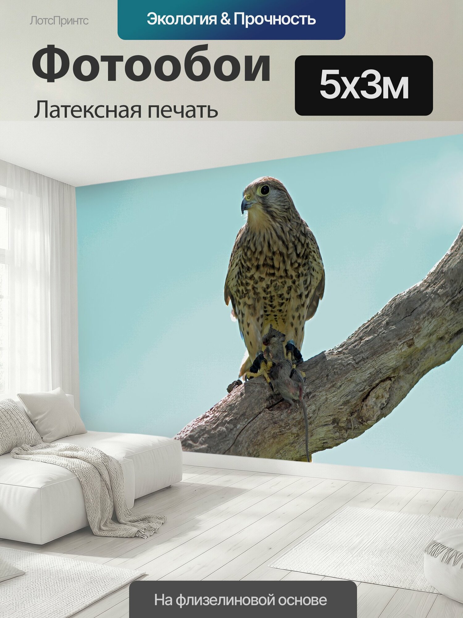 Фотообои моющиеся ударопрочные "Пустельга, хищная птица, птица" 500x300 см. латексная печать