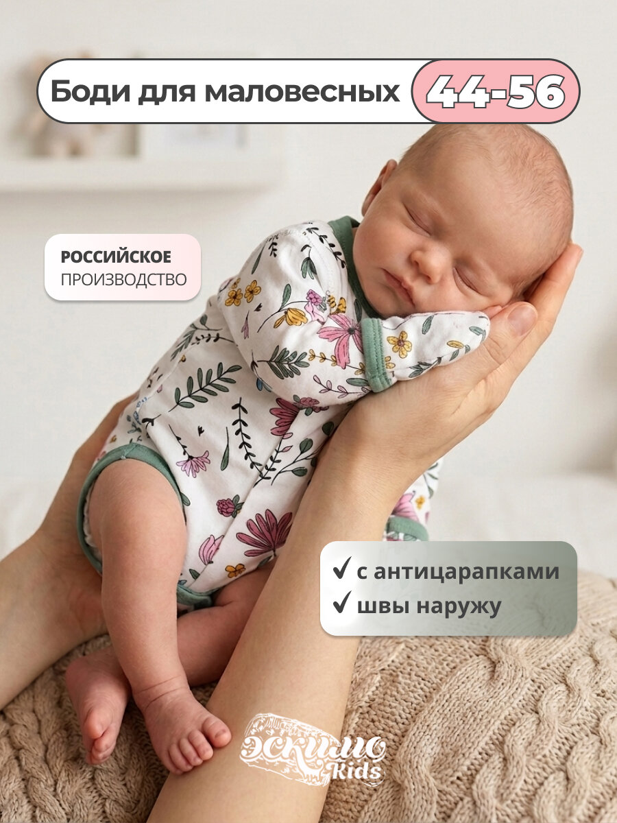 Боди