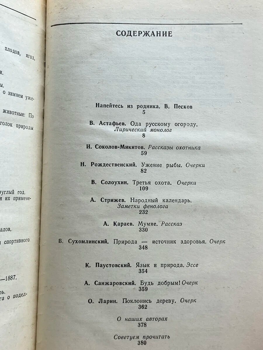Живица — фото 1