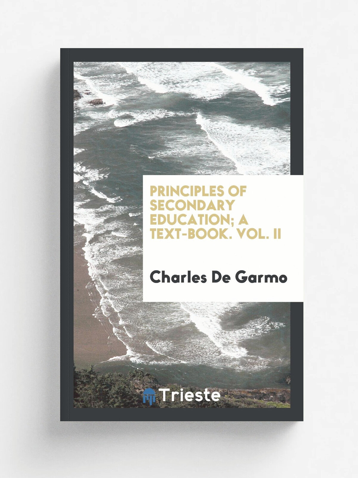 Principles of secondary education; a text-book. Vol. II
