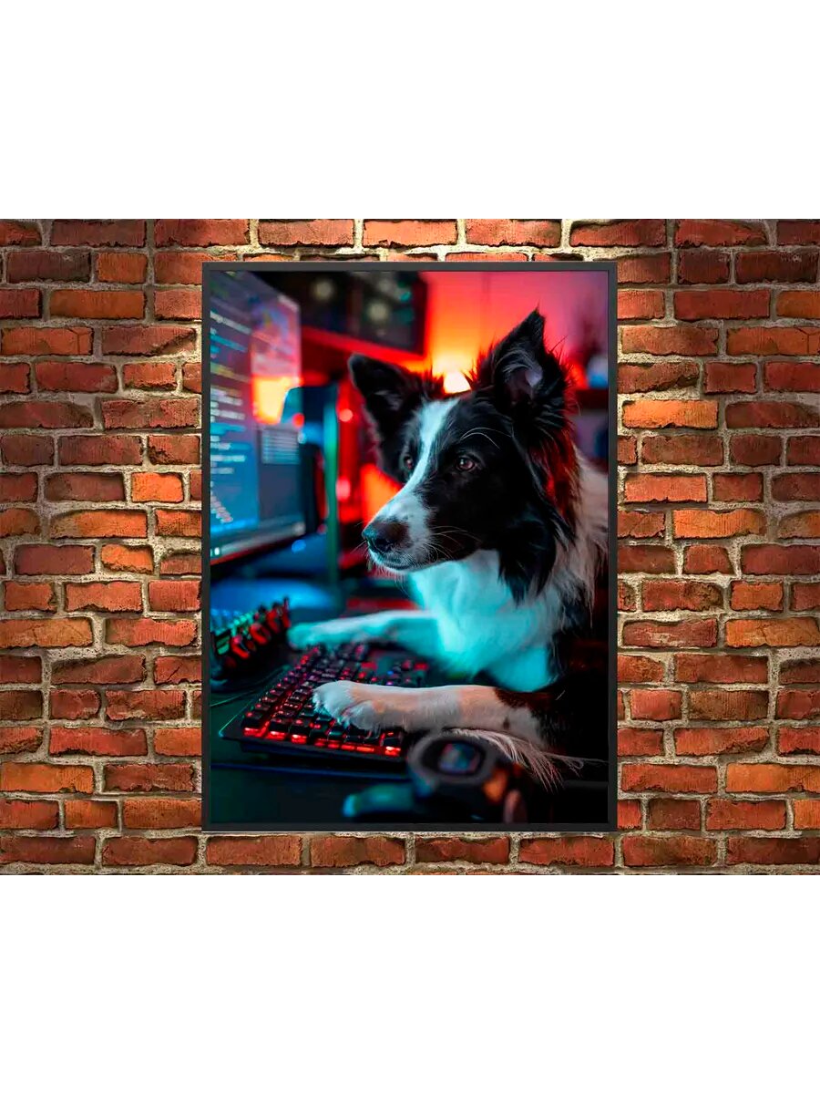 Бордер-колли-собака-программист 3, Плакат 30x42см