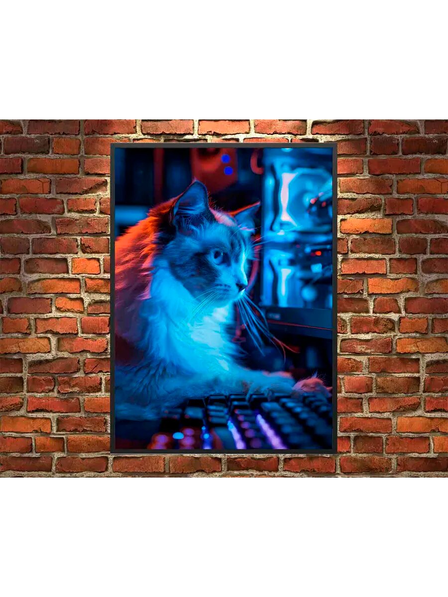 Бирманский кот-программист 1, Плакат 30x42см
