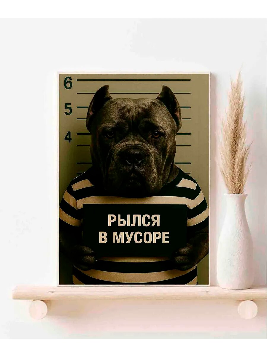 Собака породы Кане Корсо, Рылся в Мусоре, Плакат 30x42см