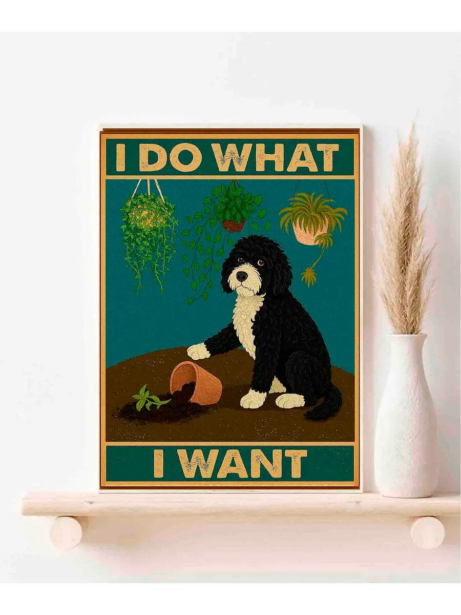 Португальская водяная собака, I Do What I Want, Плакат 30x42