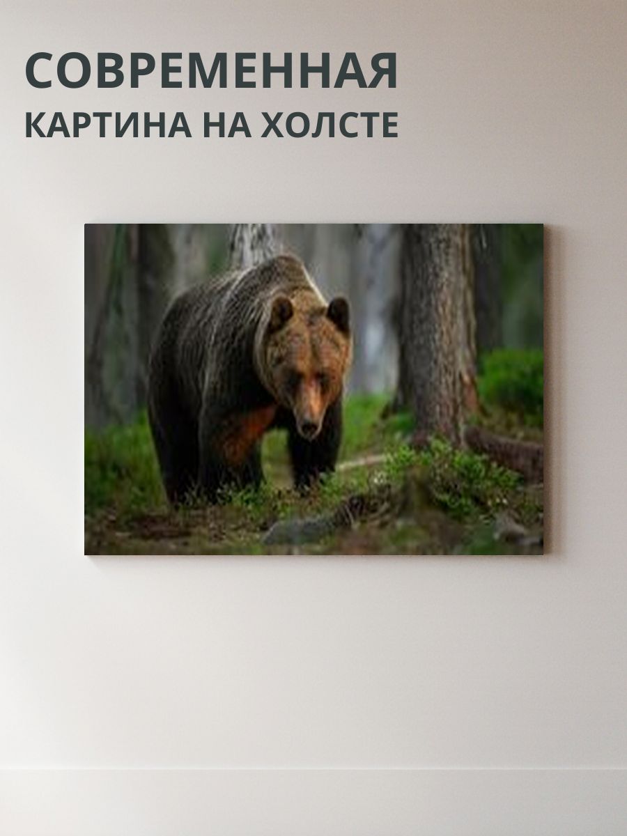 Картина на холсте Медведь в лесу 70x50 см
