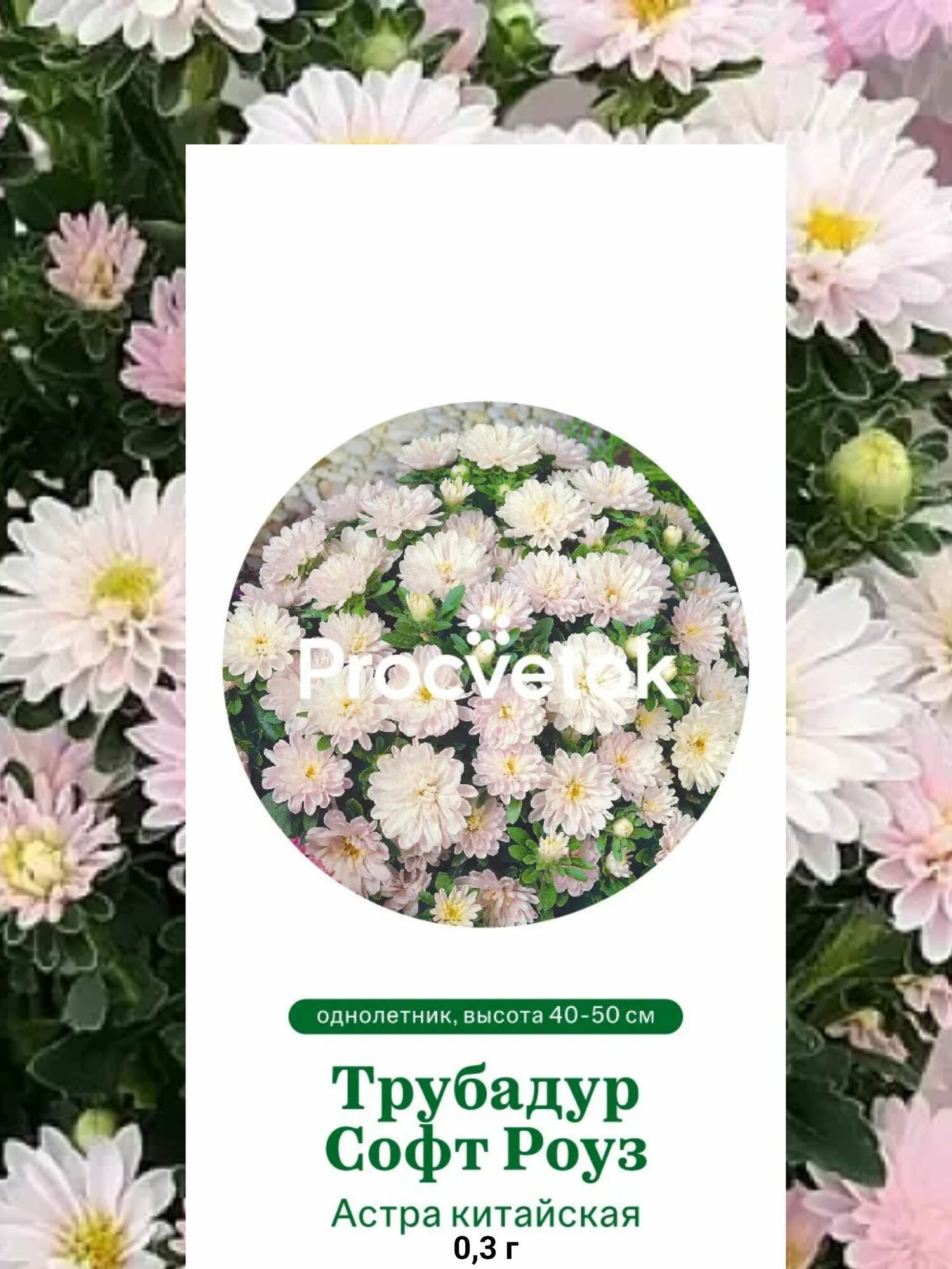 Семена Астра китайская Трубадур Софт Роуз 0,3г, Процветок