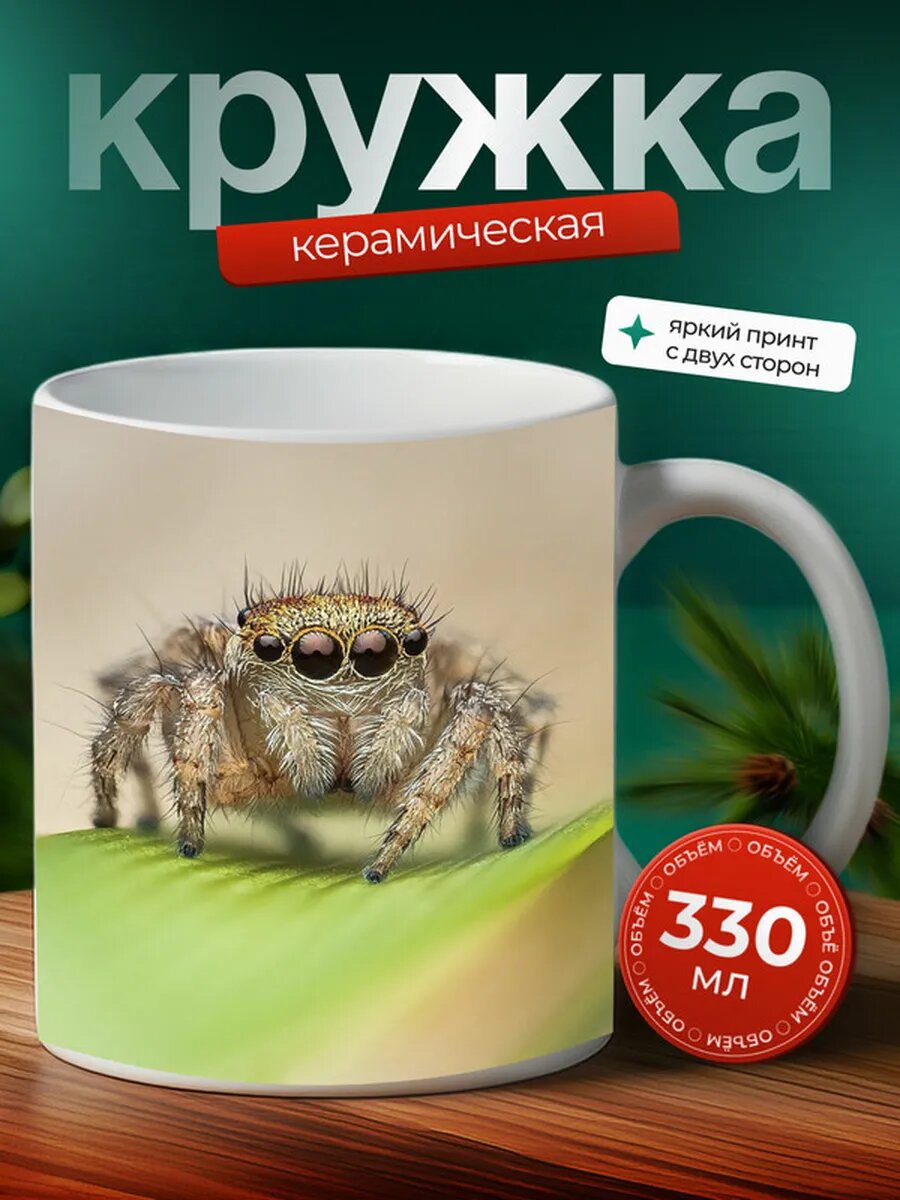 Кружка Паук-сенокосец паукообразное 8,