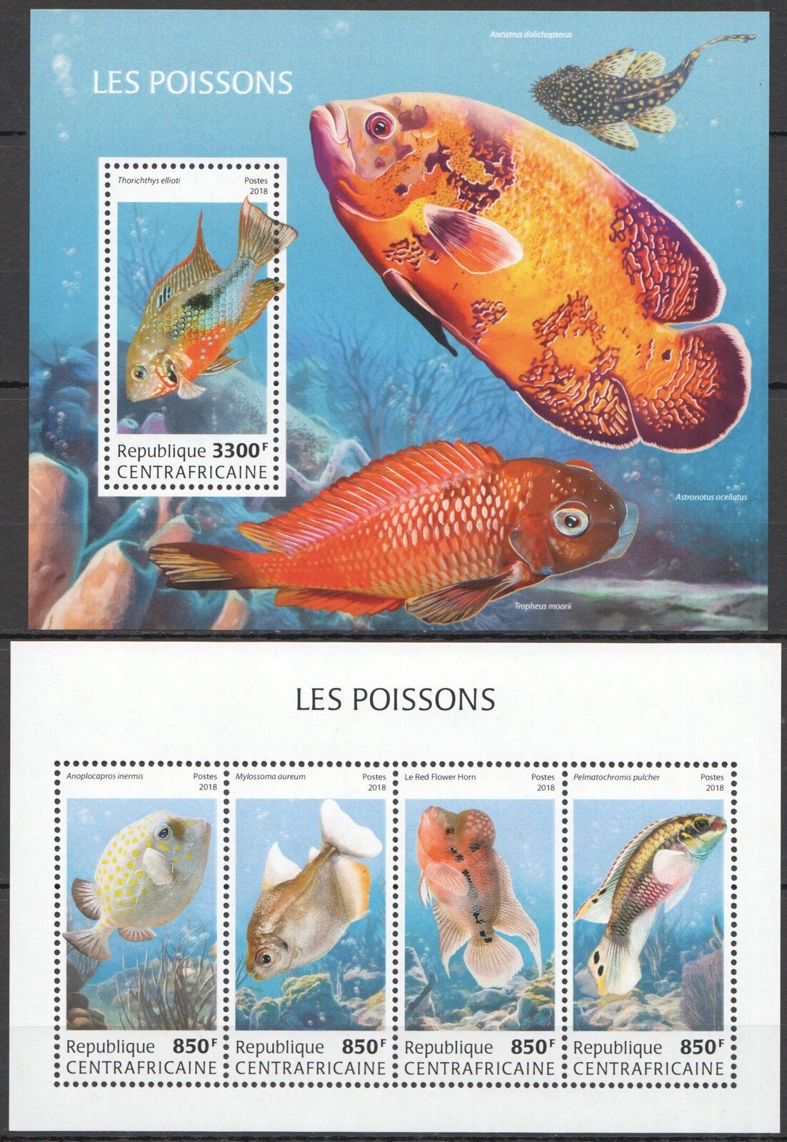 Марки 2018 год ЦАР Рыбы Морская жизнь Фауна #7932-5+Бл1786 MNH