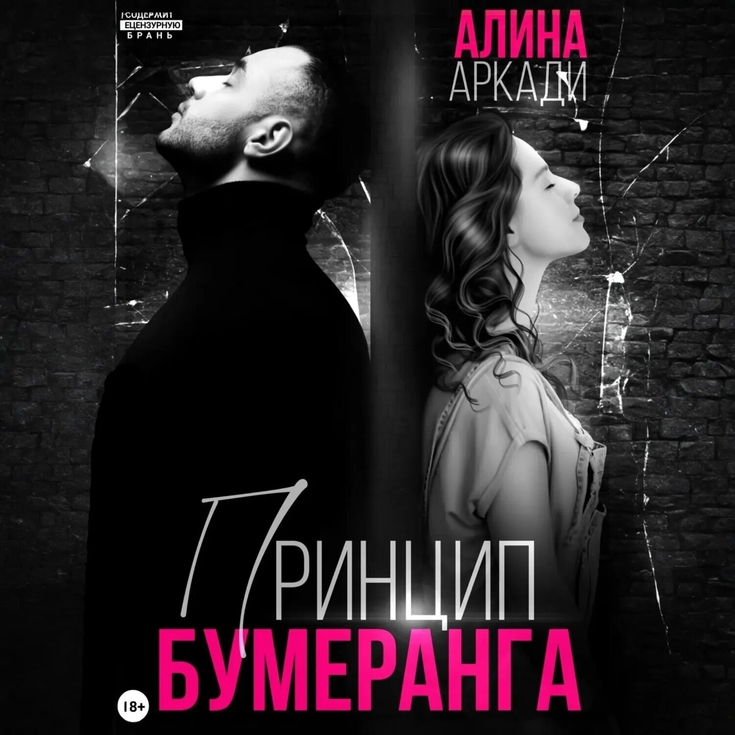 Принцип бумеранга [Аудиокнига]