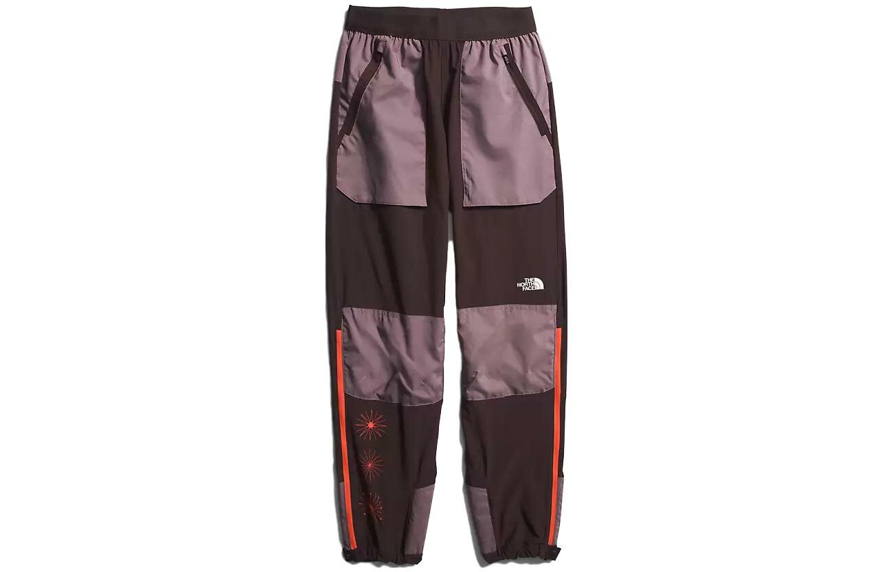 Брюки спортивные THE NORTH FACE