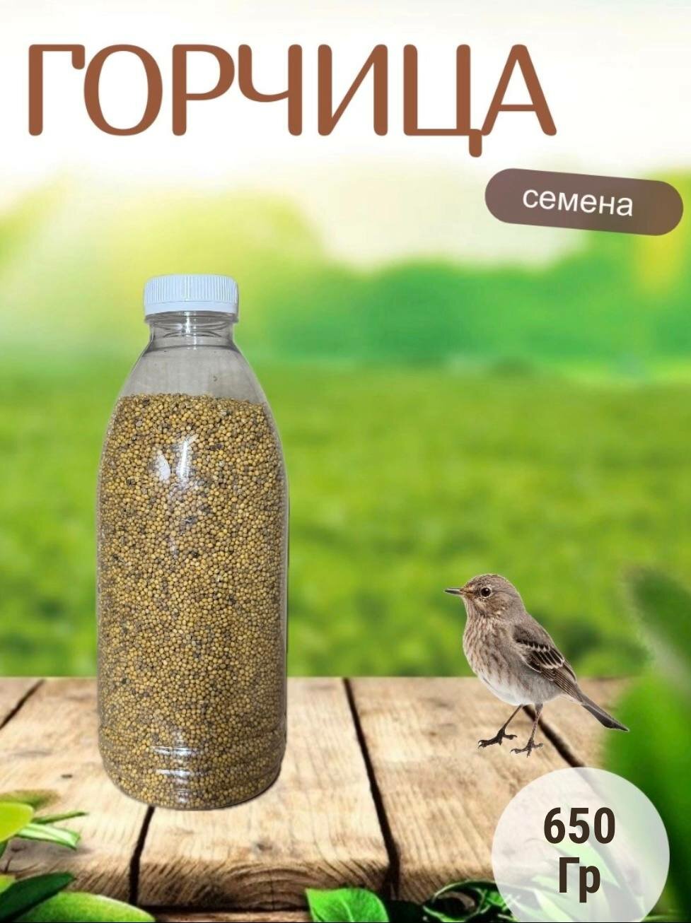 Горчица сидерат для птиц, семена