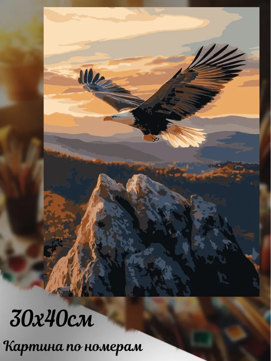 Картина по номерам орел