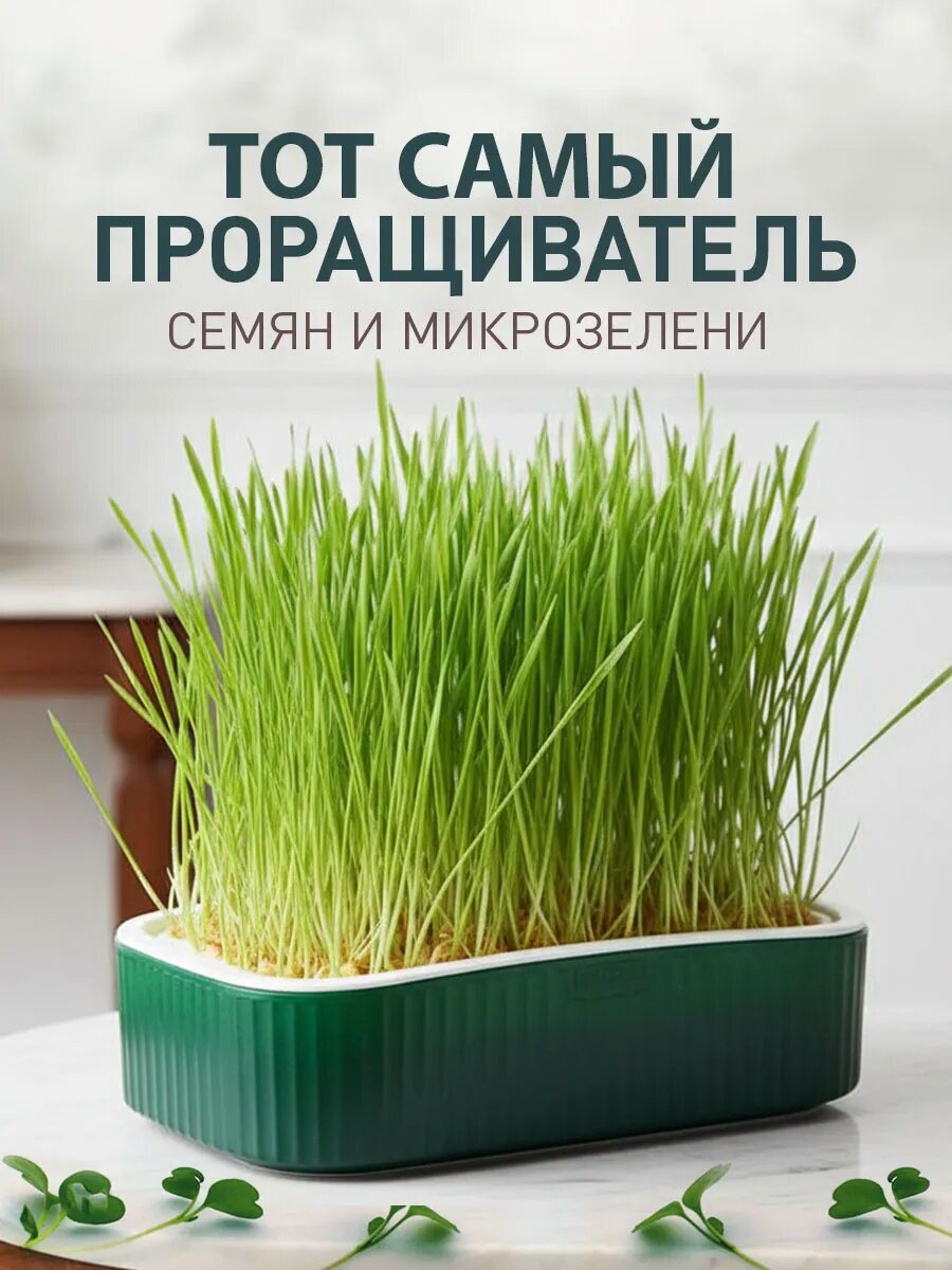 Проращиватель семян iulkapu, для микрозелени, травы для кошек, пластик