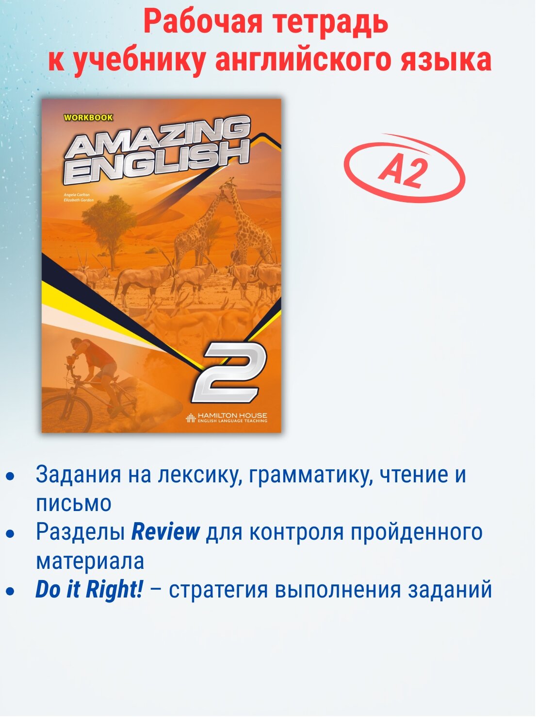 Amazing English 2 Workbook / Рабочая тетрадь к учебнику по английскому языку Аmazing English 2