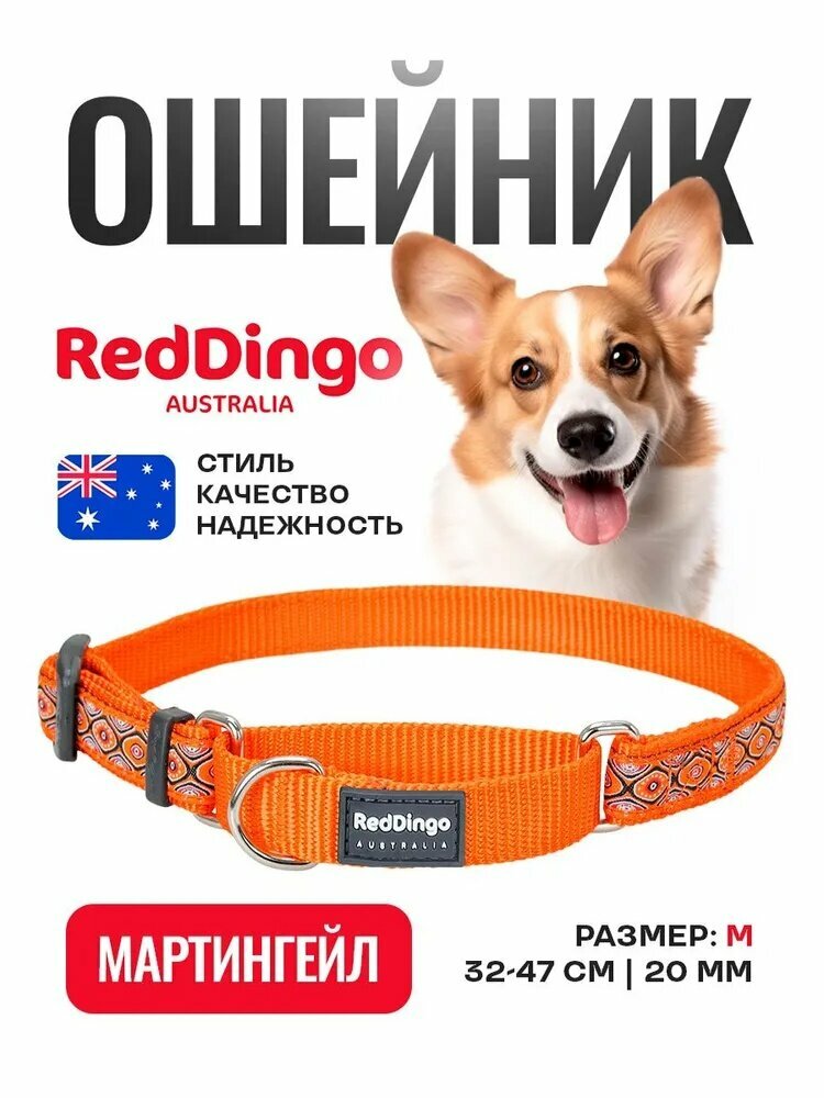 Мартингейл ошейник для собак Red Dingo оранжевый Snake Eyes