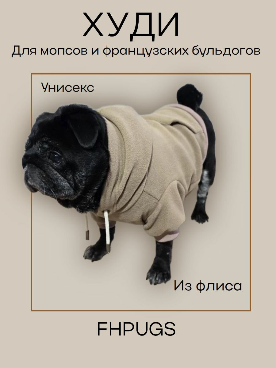 Толстовка-худи для собак, размер M, для мопсов и французских бульдогов, бежевый, с капюшоном