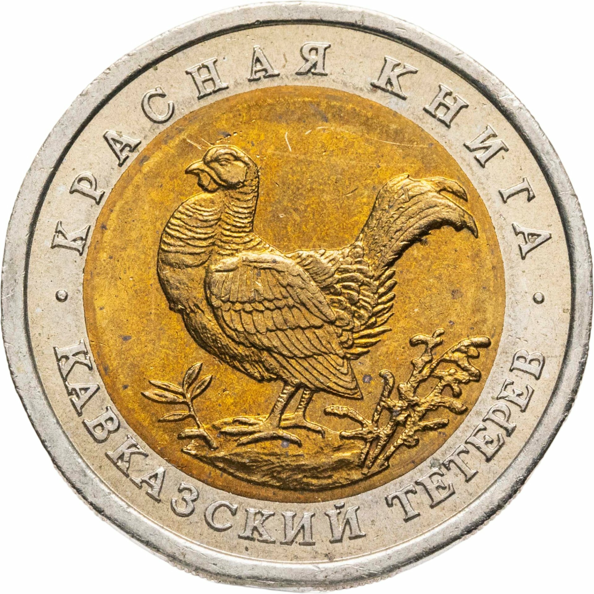 50 рублей 1993 ЛМД "Кавказский тетерев", Биметалл, в сохранности AU-UNC